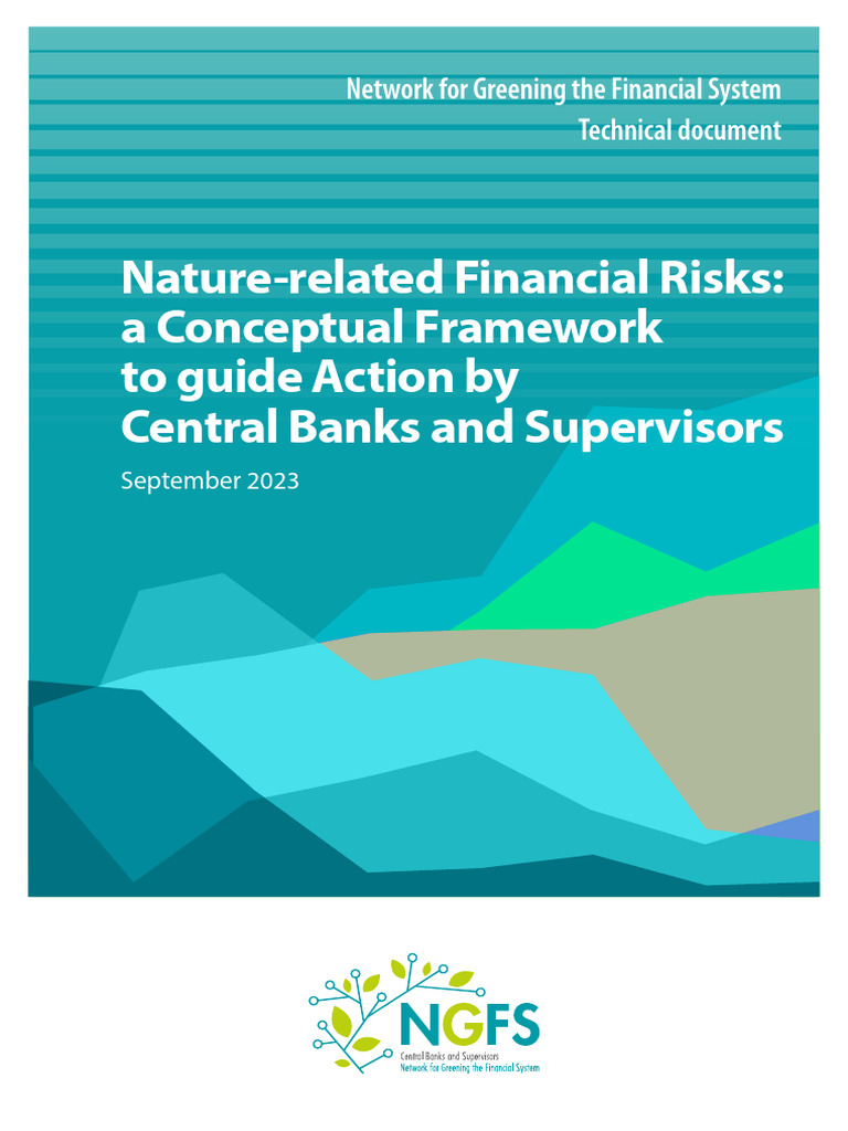 Ngfs - Conceptual Framework On Nature Related Risks | PDF | Risk ...