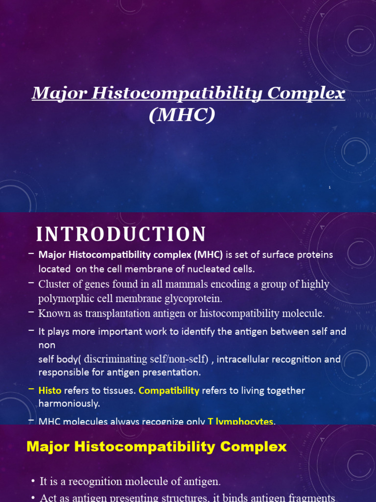 Major Histocompatibility Complex Overview | PDF | Major ...