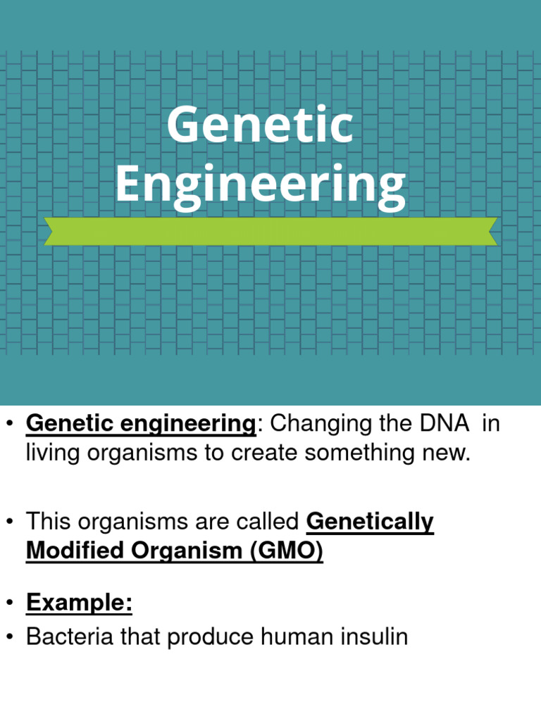 Genetic Engineering | Download Free PDF | Selective Breeding | Genetic Engineering