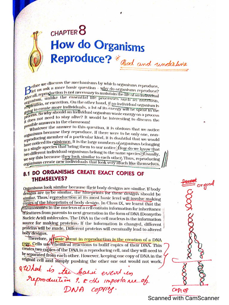 Text Book MarkingChapter 8 How Do Organisms Reproduce | PDF