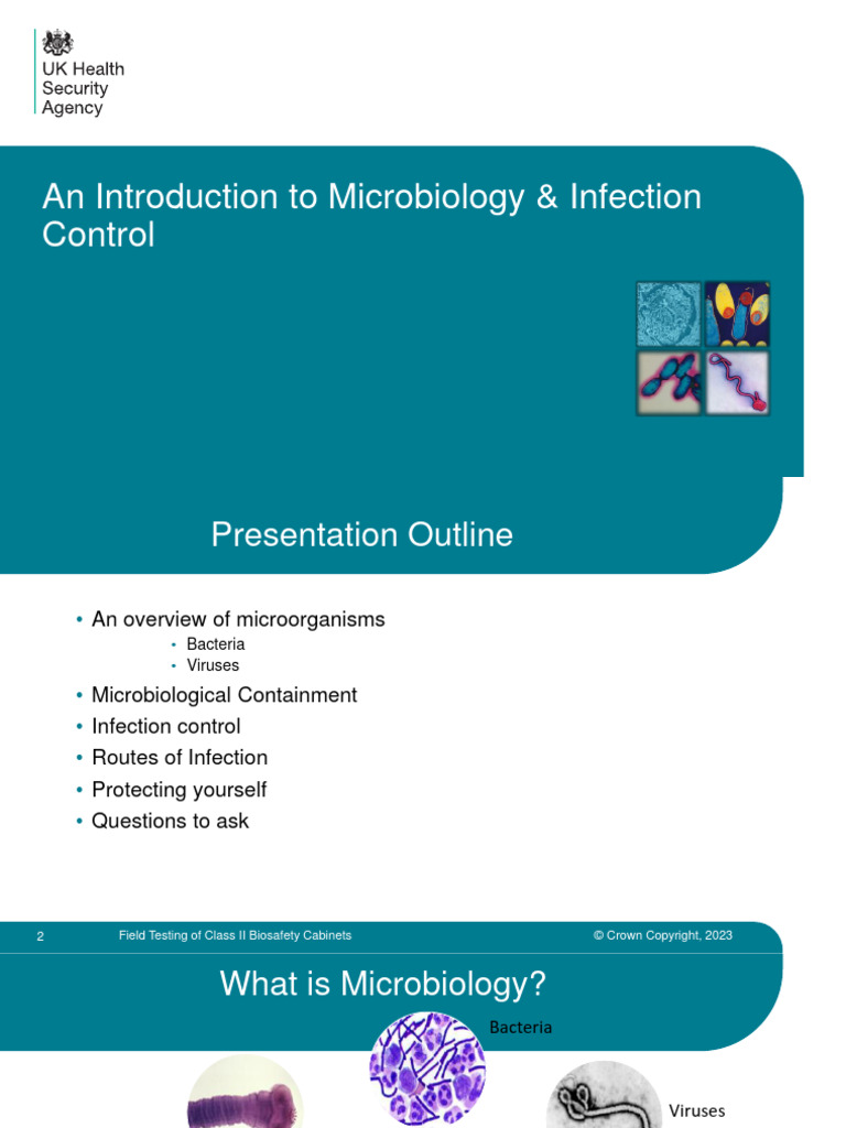 MSF - Introduction To Microbioglogy & Infection Control | PDF ...