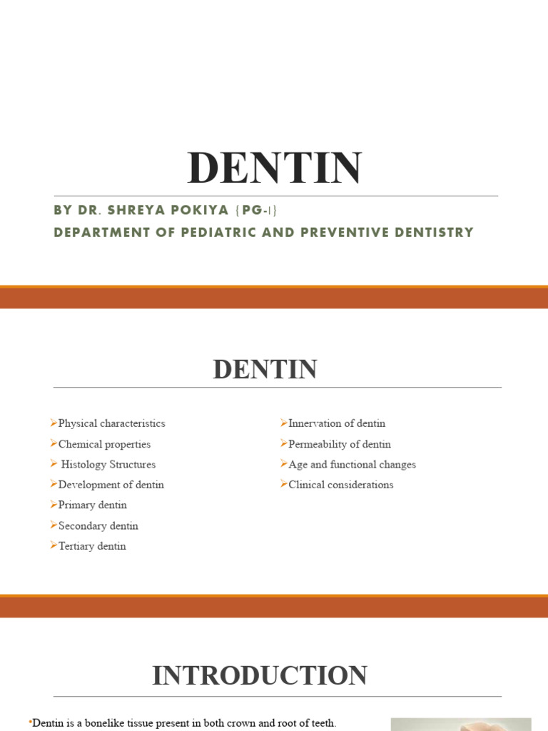 Seminar 1 Dentin | PDF | Dentin | Human Tooth