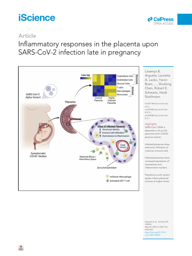 Placental Inflammation from SARS-CoV-2 | PDF | Placenta | Pregnancy