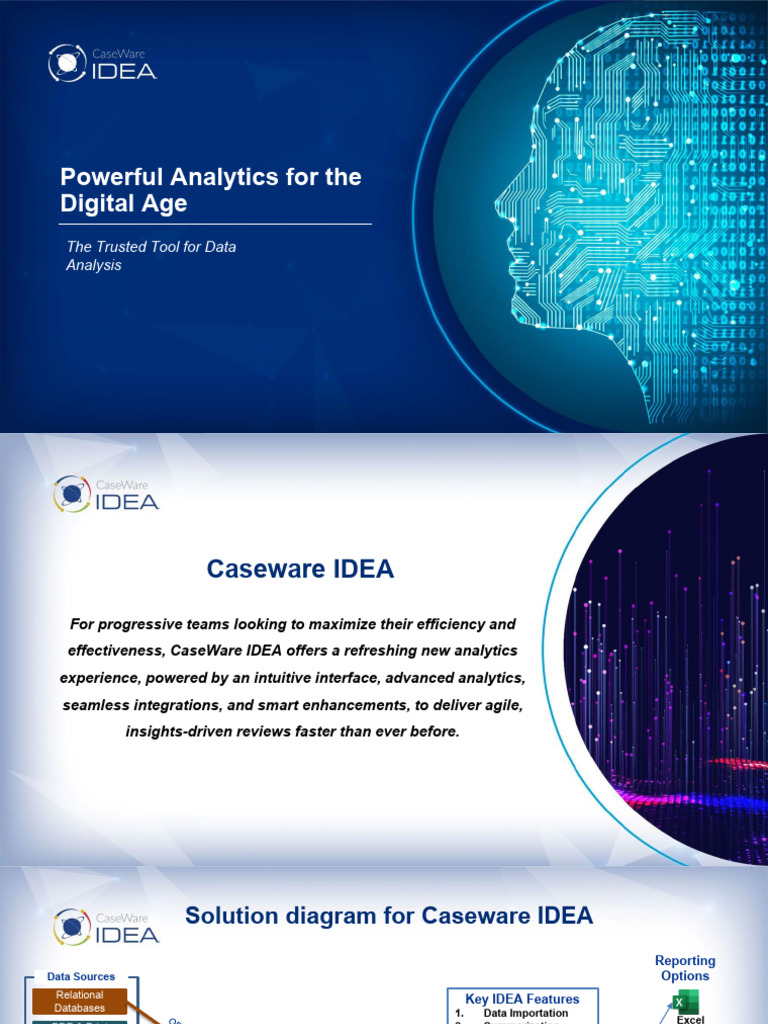 Caseware IDEA Presentation - Region - Caseware Branded | PDF ...