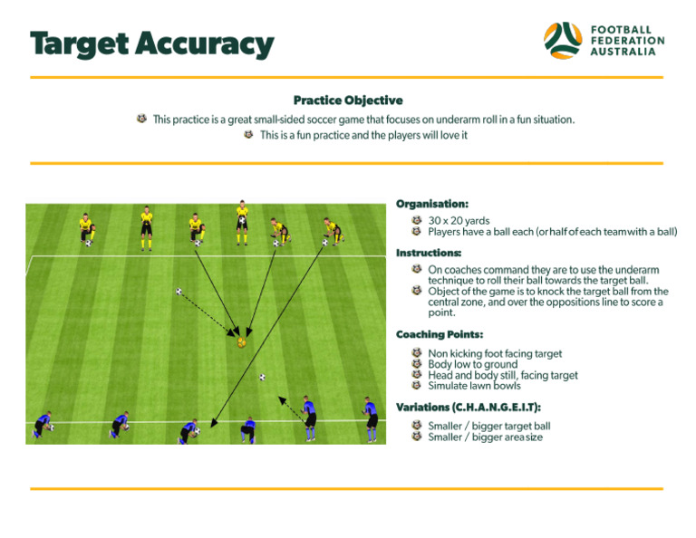 Activity Four Target Accuracy Pdf 2509