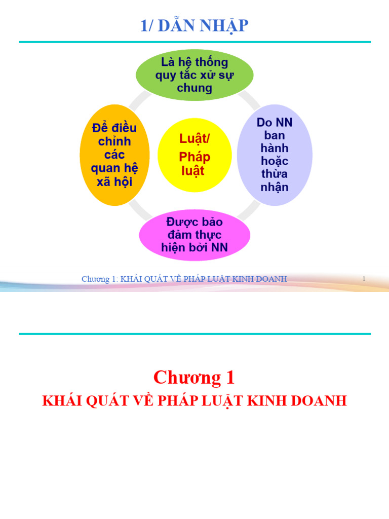 C1 - Tong Quan PLKD | PDF