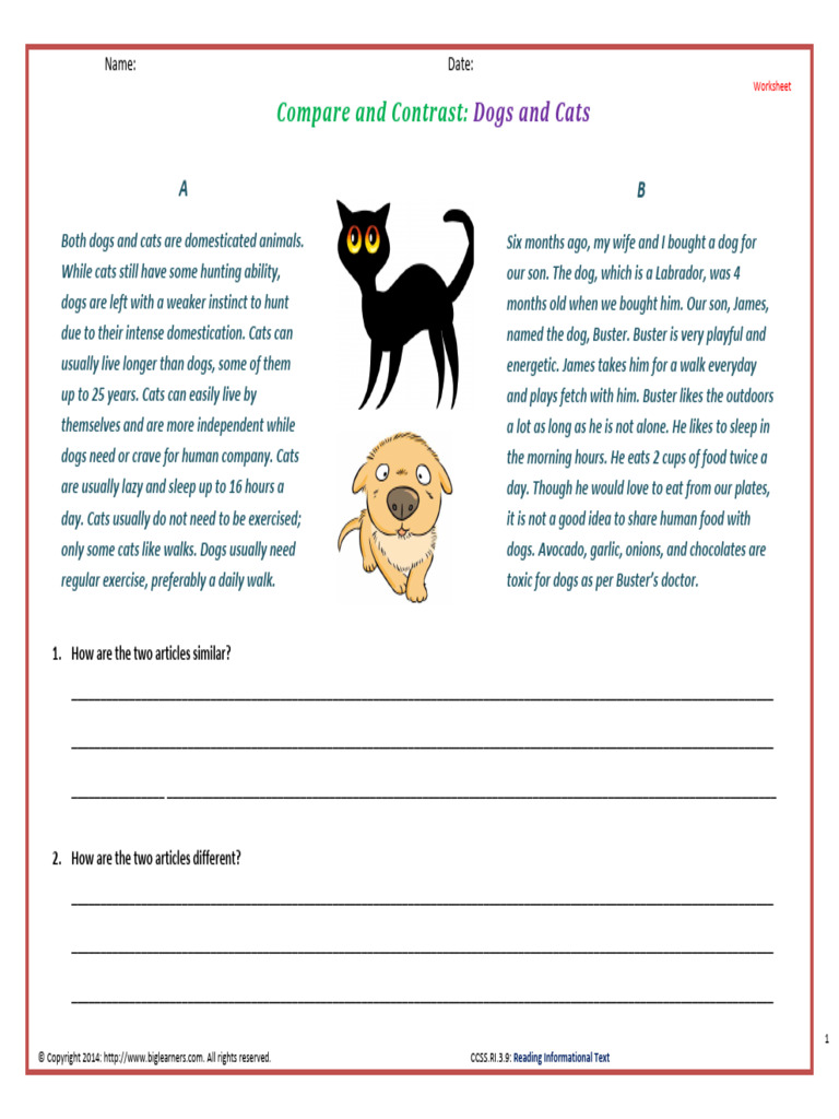 Compare and Contrast Dogs and Cats | PDF | Dogs | Cats