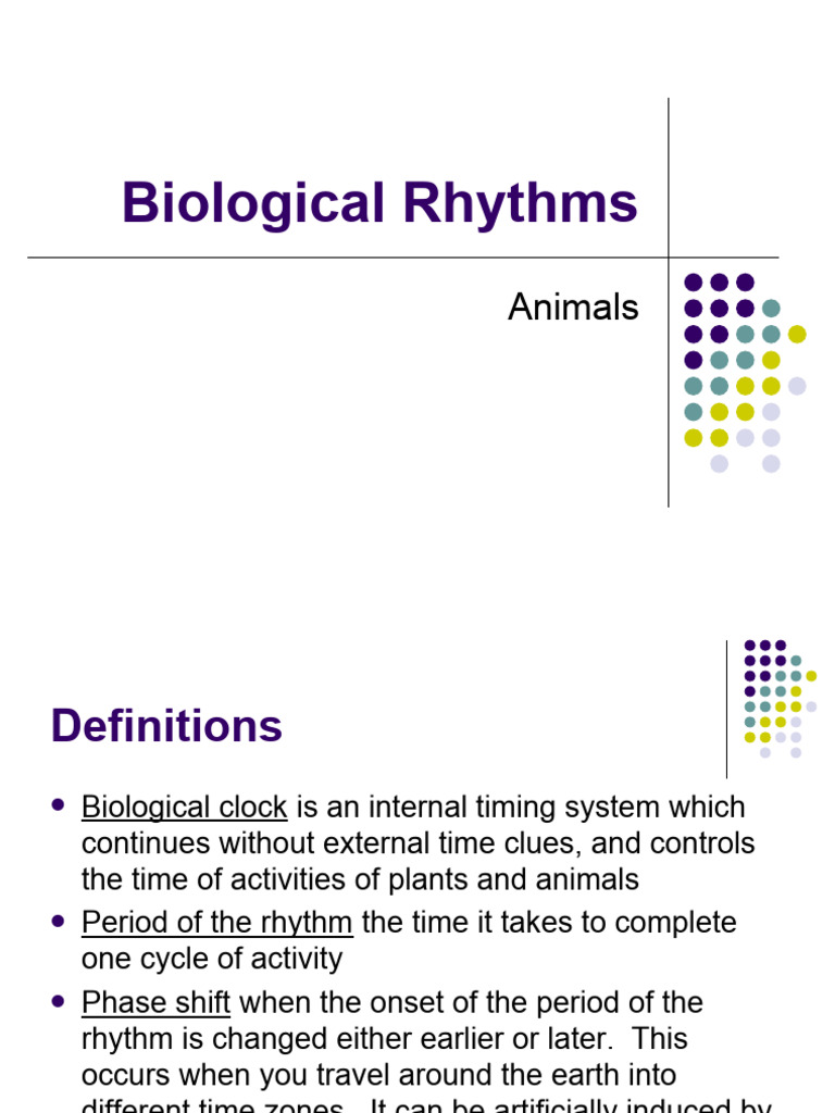 Biological Rhythms, Animals | PDF | Circadian Rhythm | Zoology