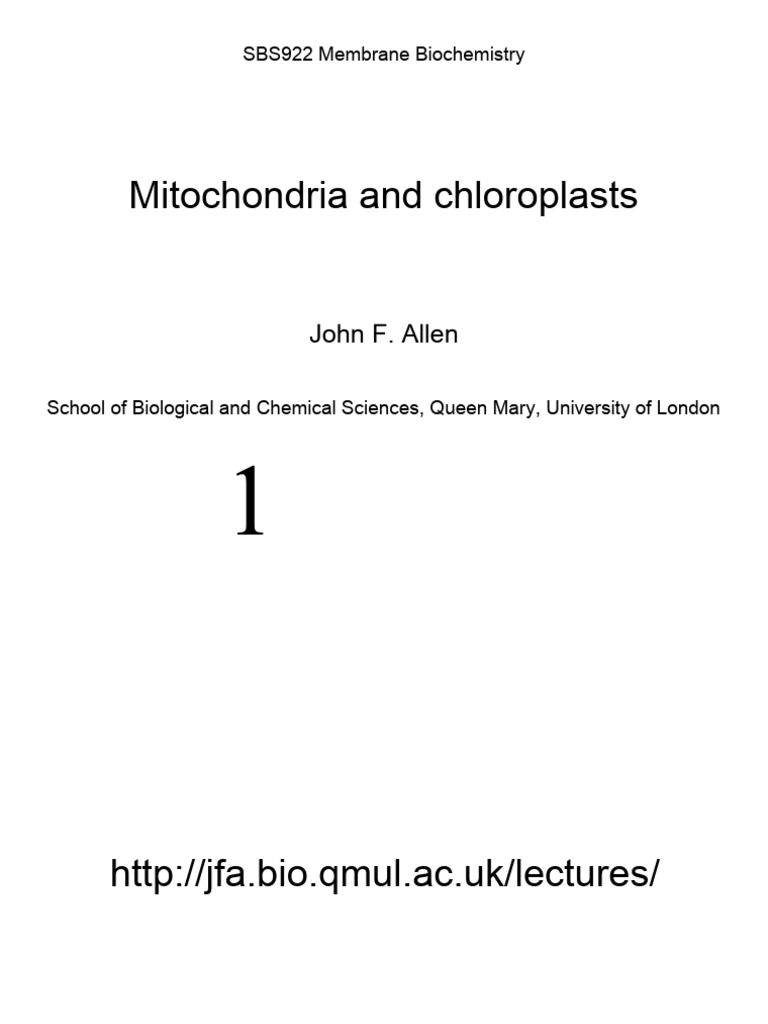 ATP Synthase Structure | PDF | Electron Transport Chain | Mitochondrion