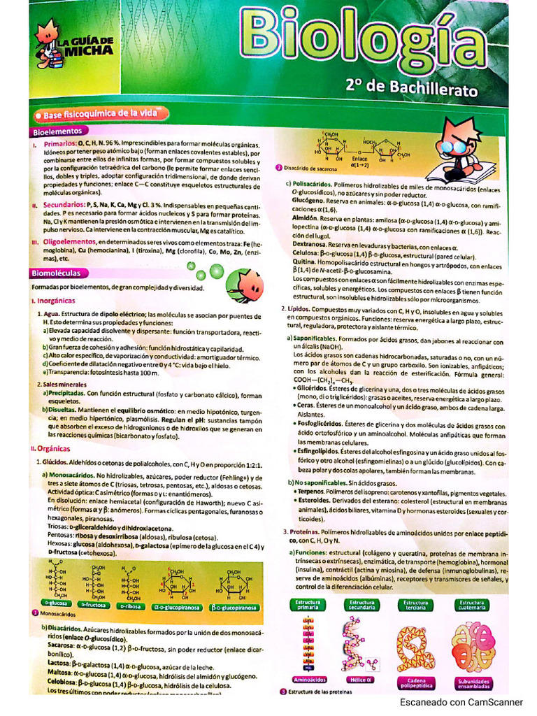 Resúmen Selectividad | PDF