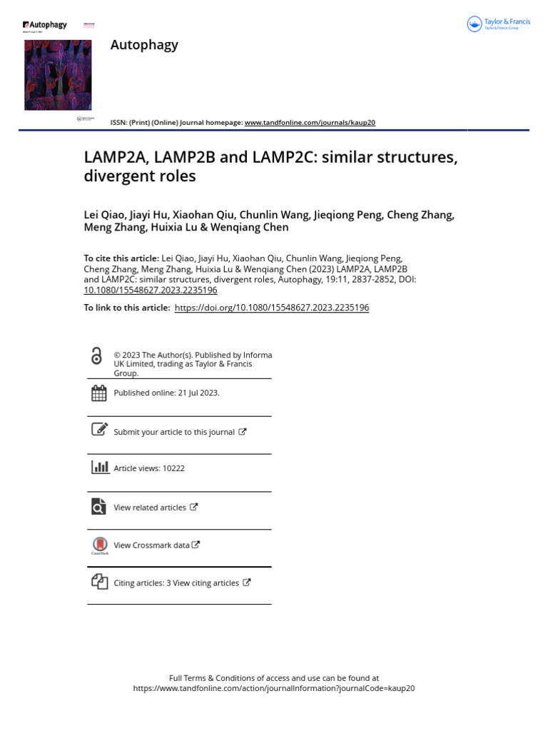 LAMP2A LAMP2B and LAMP2C Similar Structures Divergent Roles | Download ...