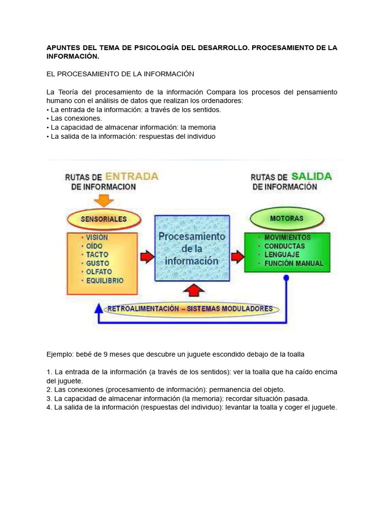 T 6 Desarrollo Cognitivo 0-2 PIII | PDF | Cognición | Percepción
