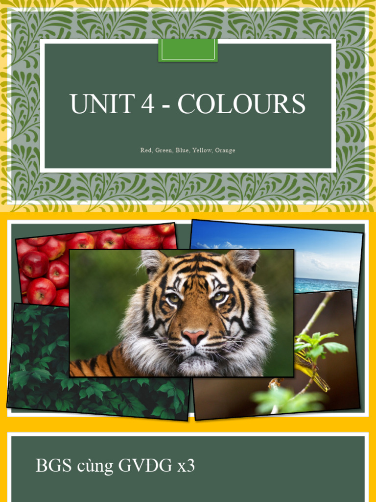 Unit 4 - Colours | PDF