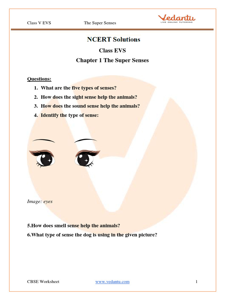 Ncert Solutions Class 5 Evs Chapter 1 | PDF | Senses | Neuroscience
