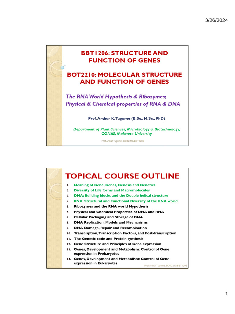 Gene Structure & RNA World | PDF | Restriction Enzyme | Dna