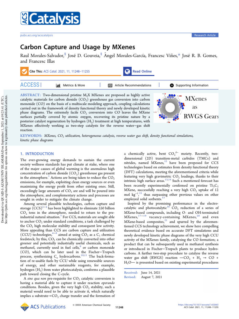 Morales Salvador2021 | PDF | Adsorption | Catalysis