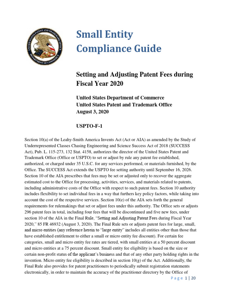 Small Entity Compliance Guide FY2020 Final Rule1 | PDF | Reexamination ...