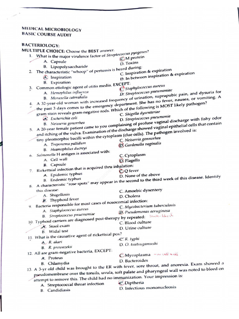 Micro para BCA | PDF