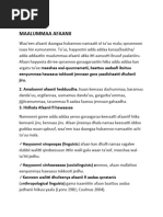 Hiibboo Afaan Oromoo | PDF