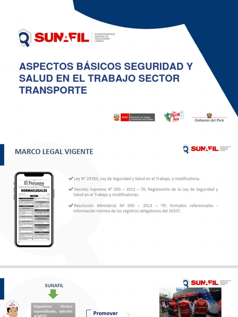 Aspectos Básicos de SST Sector Transporte 2023 | PDF | Gobierno | Justicia