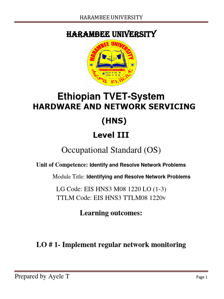 Identify and Resolve Network Problems LO 1 | PDF | Computer Network | Computer Networking