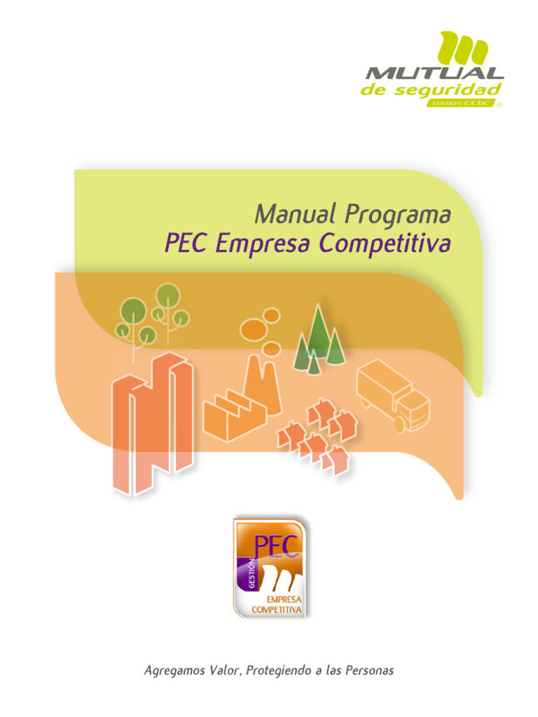 Manual Pec Competitiva v2019 | PDF
