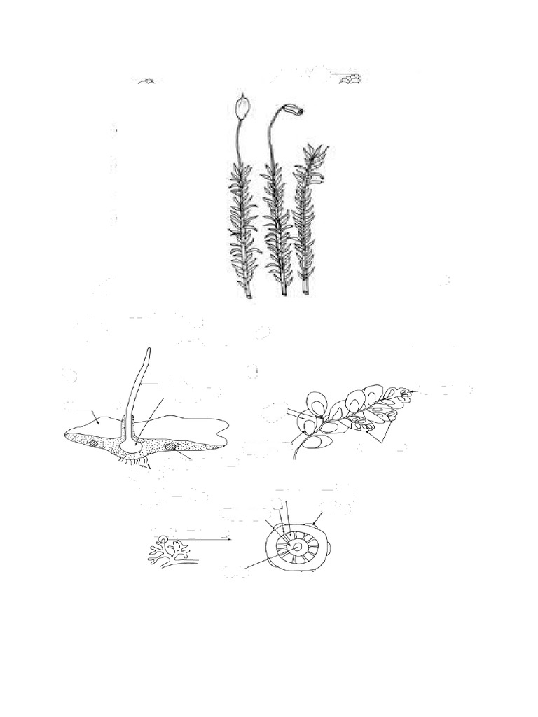 Syste Drawing | PDF