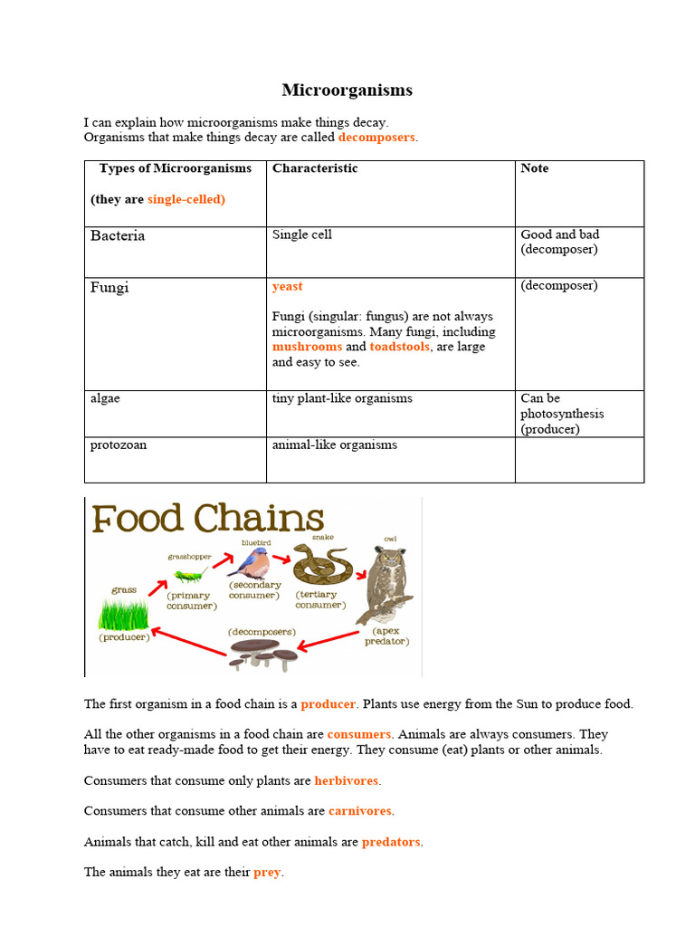 Microorganisms and Decay Basics | PDF