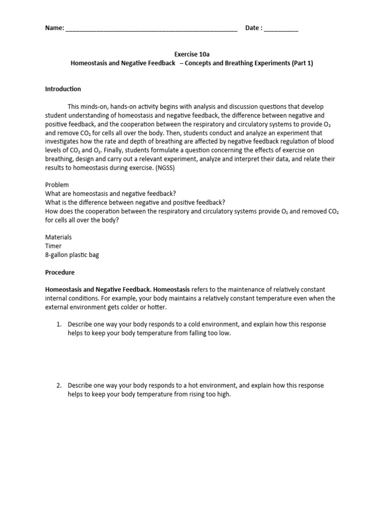 Exercise 13 15 Homeostasis | PDF | Respiratory System | Lung