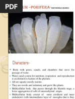 Animal Kingdom Flow Chart | PDF | Biology | Zoology