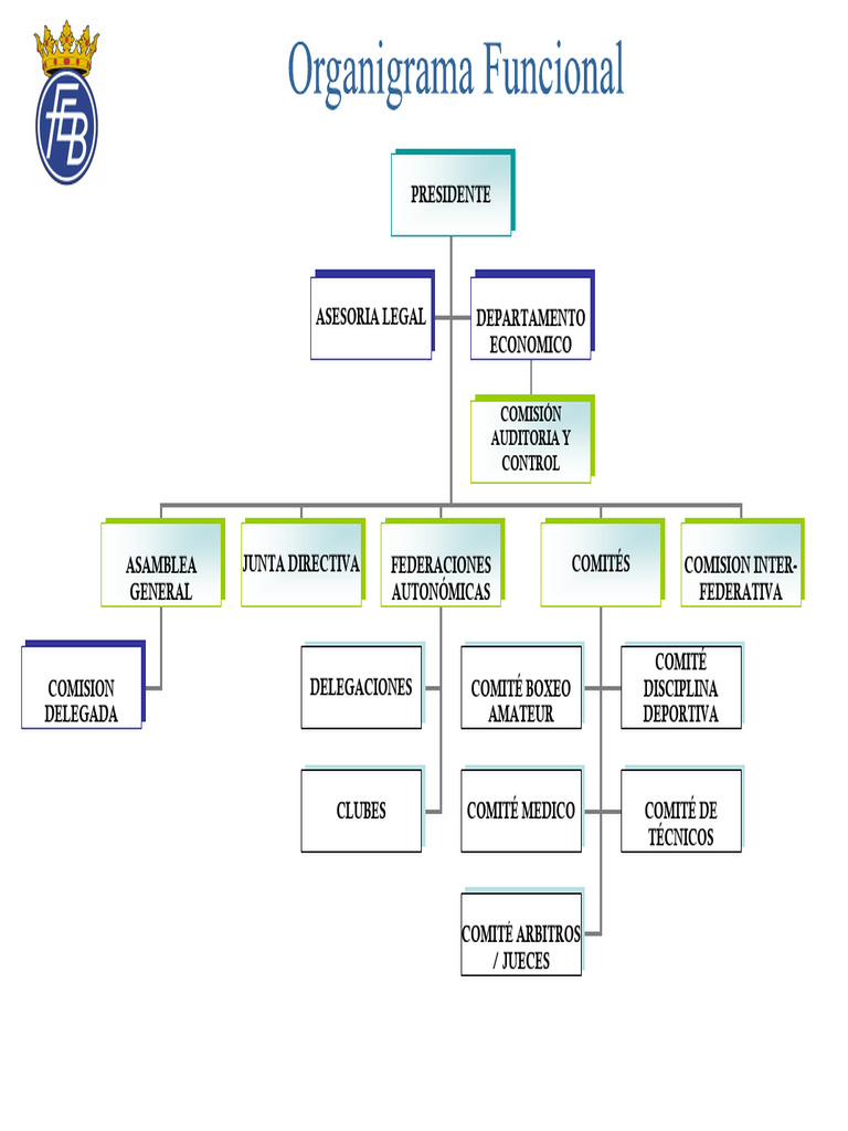 Organigrama Funcional | PDF