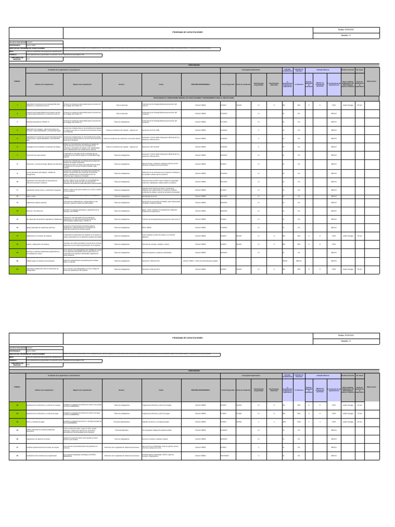 Programa de Capacitacion y Entrenamiento | PDF | Creación de capacidad | Residuos