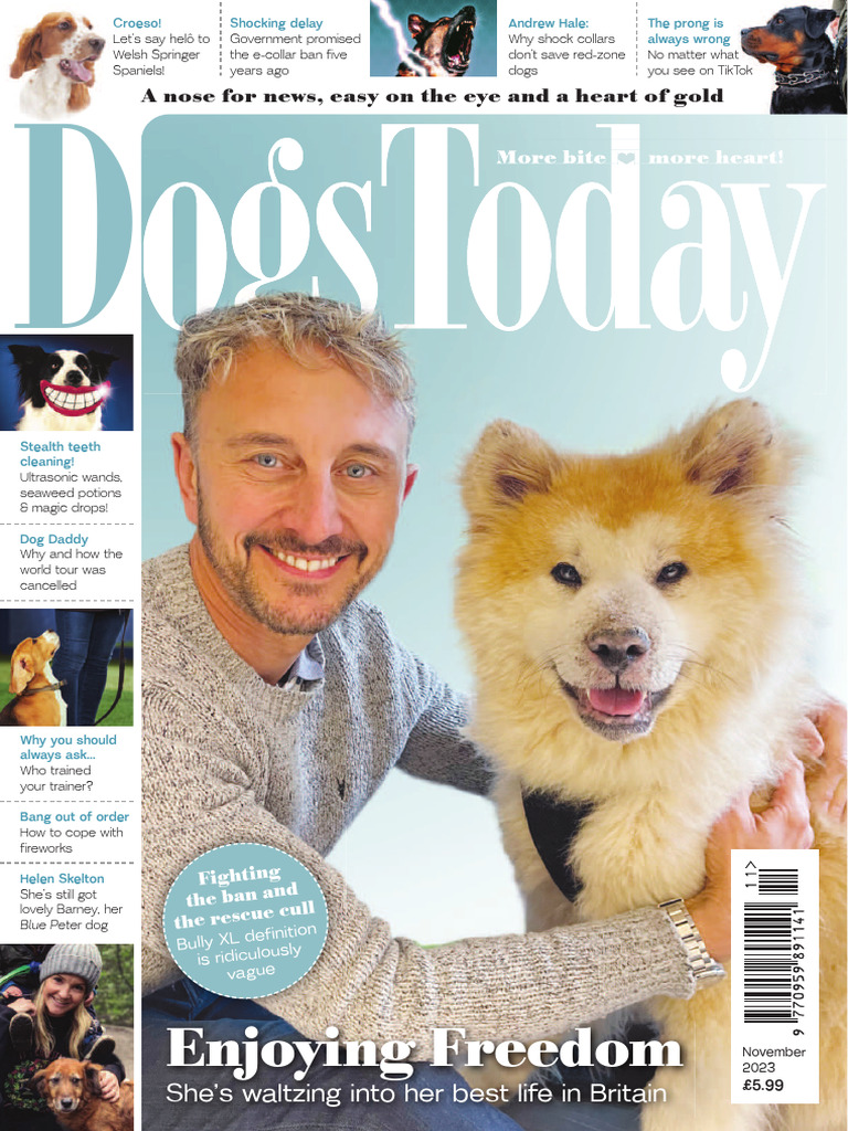 Dogs Today UK 11.2023 | PDF | Dog Training | Animal Welfare