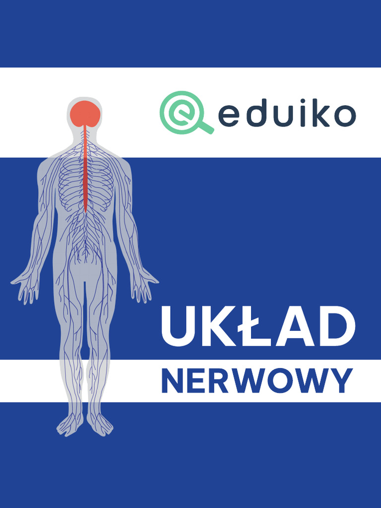 ATLAS Uklad Nerwowy | PDF