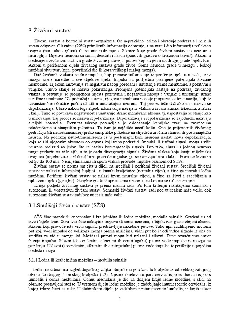 Živčani Sustav - 1.dio | PDF