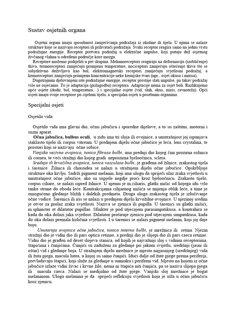Osjetilo Vida, Sluha I Ravnoteže | PDF