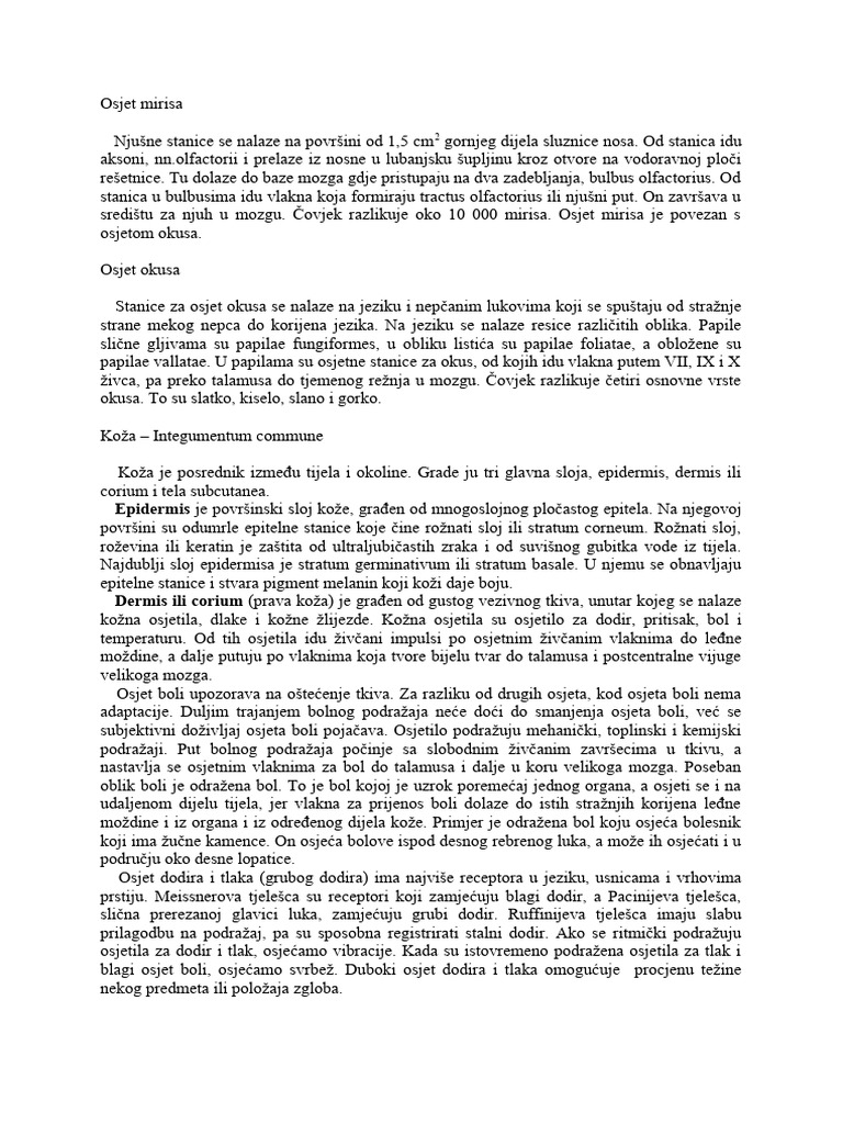 Osjetila Okusa I Mirisa + Koža I Kožna Osjetila | PDF