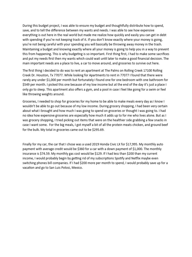 Essay For Budget Project | PDF | Economies