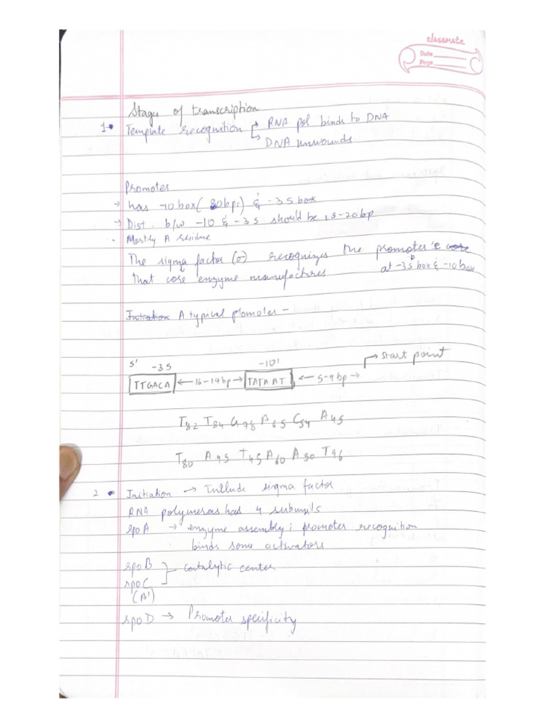 Transcription Notes | PDF