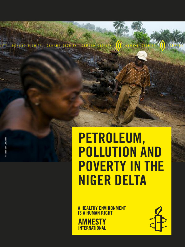 Petroleum, Pollution and Poverty in The Niger Delta: A Healthy ...
