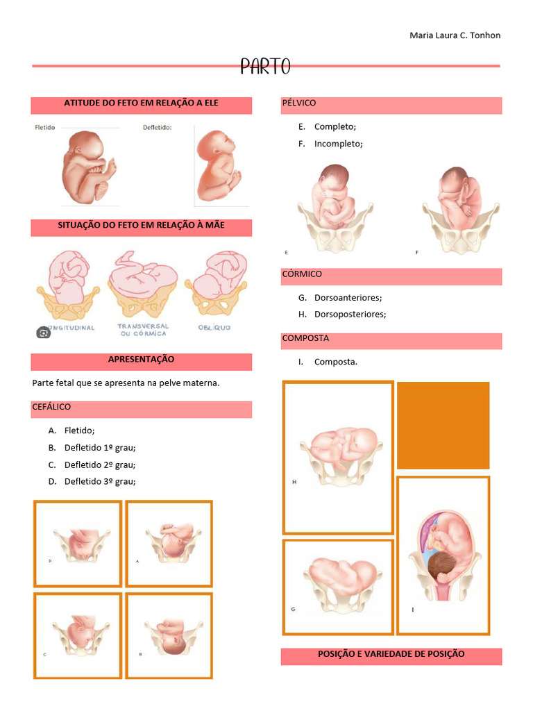 Aula 1 - Parto | PDF | Parto | Especialidades médicas