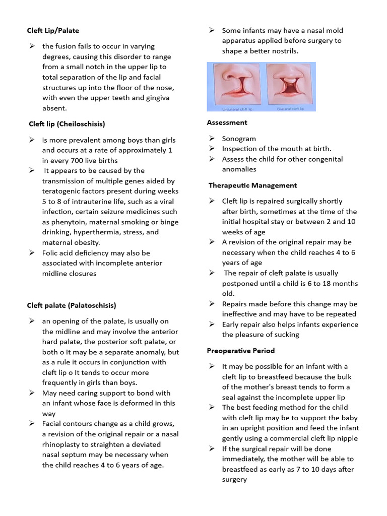 Cars | PDF | Medical Specialties | Clinical Medicine