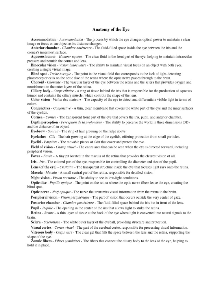 Vocabulary 1 - Anatomy of The Eye | PDF | Eye | Visual Perception