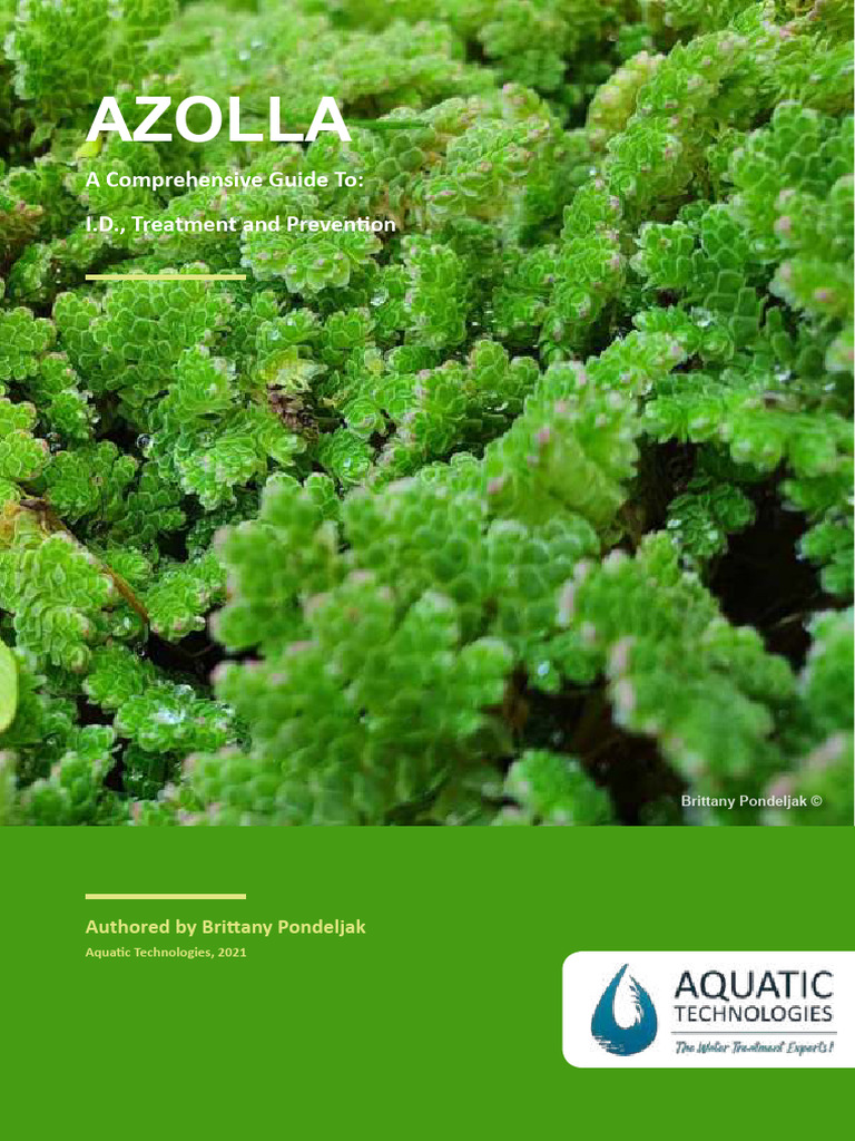Azolla Manual LR | PDF | Fertilizer | Soil
