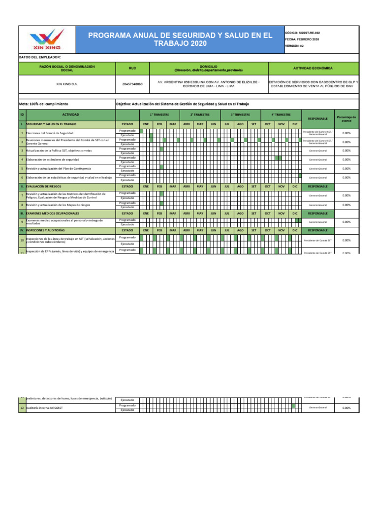 Programa Anual de Seguridad y Salud en El Trabajo 2020 XIN XING | PDF