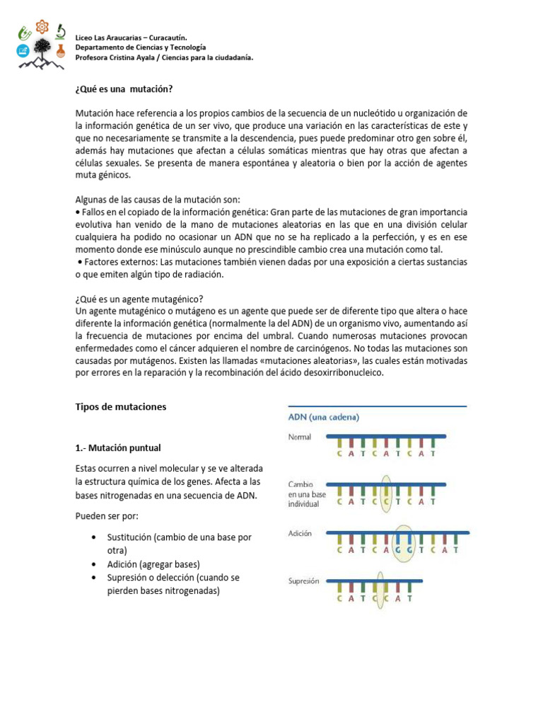 Mutaciones Sintesis | Descargar gratis PDF | Mutación | Mutageno
