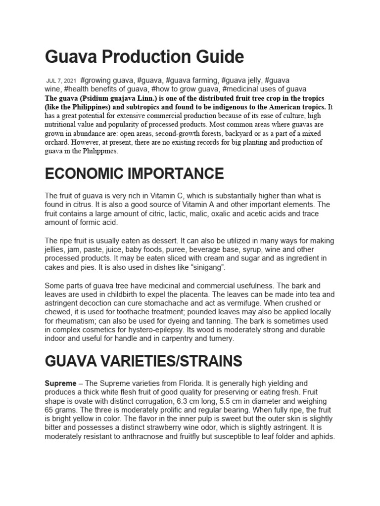 Guava Production Guide | PDF | Grafting | Fertilizer