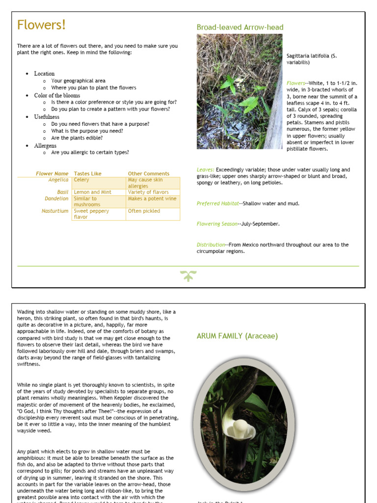 Flowers | PDF | Flowers | Petal