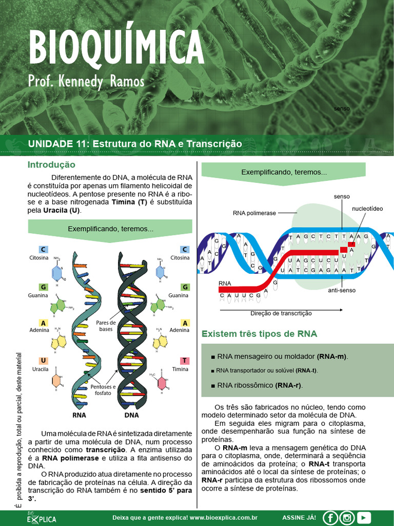 Estrutura do RNA e Transcrição Genética | PDF | RNA | DNA