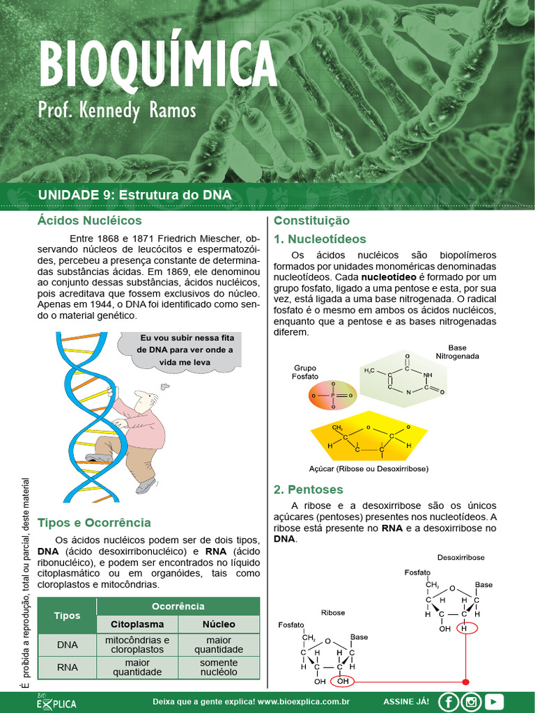 Apostila - Estrutura Do DNA | PDF | DNA | Espiral dupla de ácido nucleico